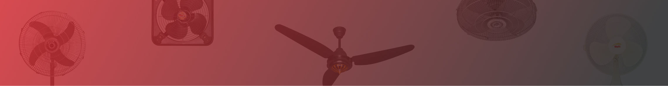 New Arrivals – Tamoor Fans
