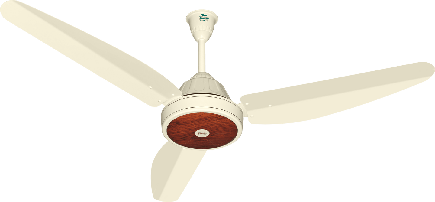 Eco-Smart 30 Watt – Tamoor Fans