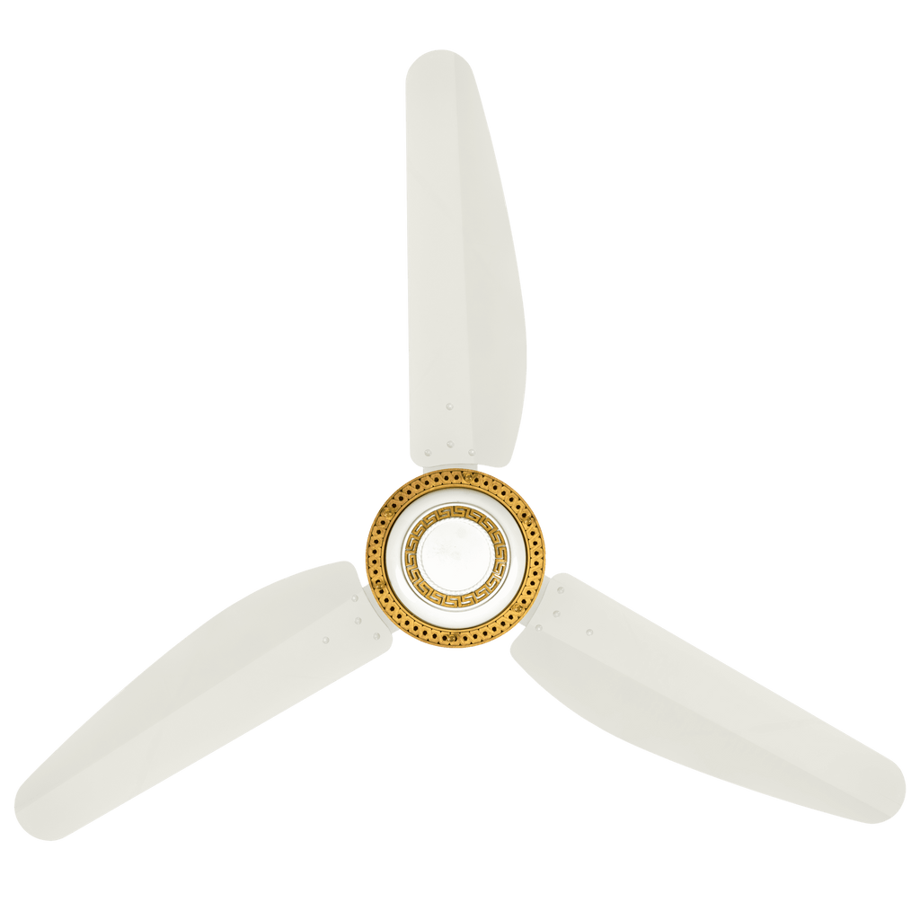 Nova Model – Tamoor Fans
