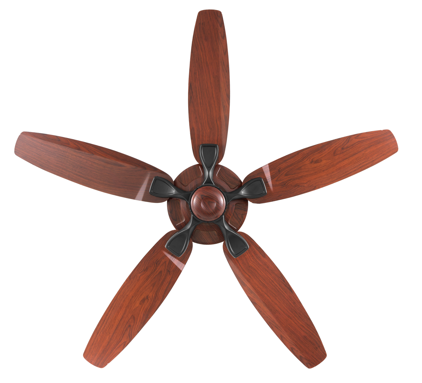 New Arrivals – Tamoor Fans