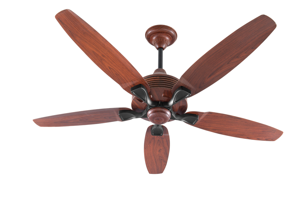 New Arrivals – Tamoor Fans