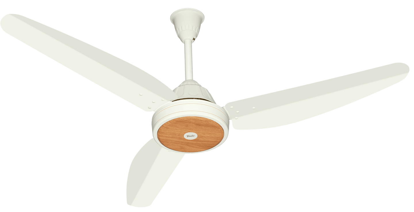 Eco-Smart 30 Watt – Tamoor Fans